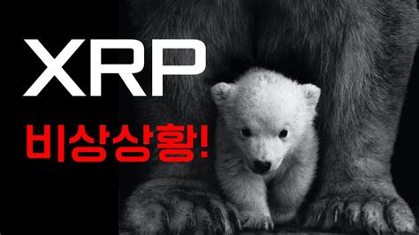 리플 긴급입니다 대응 못하면 계좌 박살 납니다 Youtube