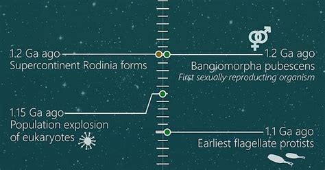 Timeline Of The Universe Imgur