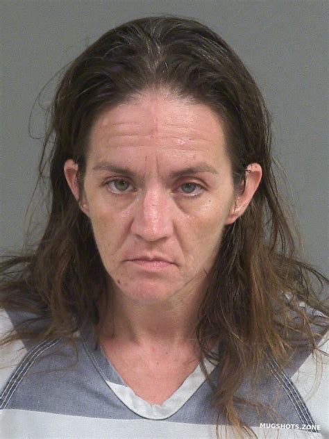 Fleischman Mary Jean 08 23 2025 Charleston County Mugshots Zone