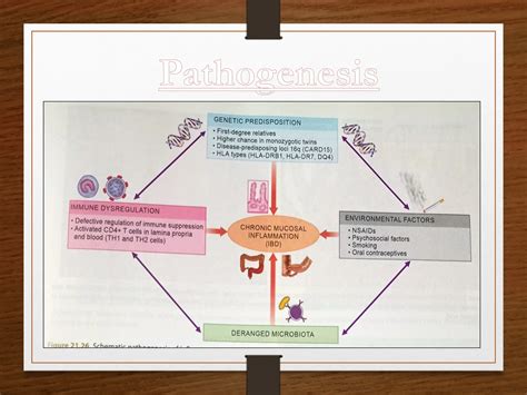 Inflammatory Bowel Disease Crohns Vs Uc Pptx