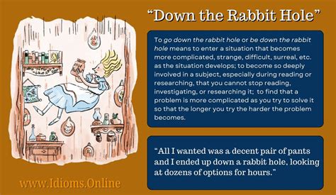 Down The Rabbit Hole Idioms Online