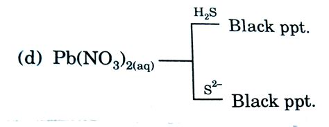 Apoplast Does Not Provide Any Barrier To Water Movement And Water Move