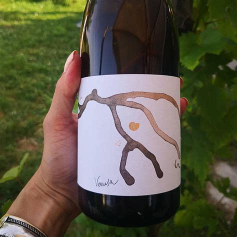 Gianluca Bisol Genius Loci Chiave Del Turismo Del Futuro Winestopandgo