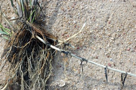 內政部國家公園署