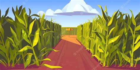 Corn Field Clipart At Merrill Lavallee Blog