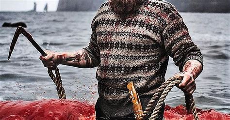 Whale Killing In The Faroe Islands Album On Imgur
