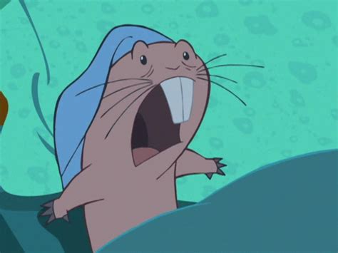 Kim Possible Rufus