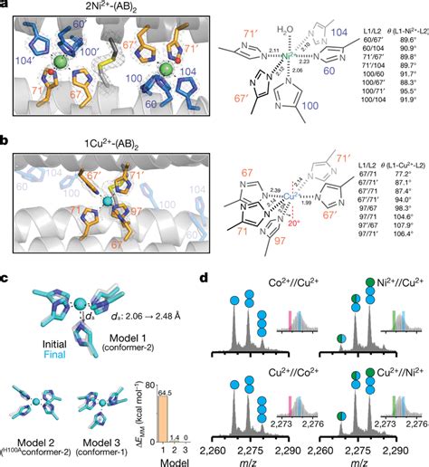 Primary Metal Coordination Spheres Of Central And Peripheral Sites In