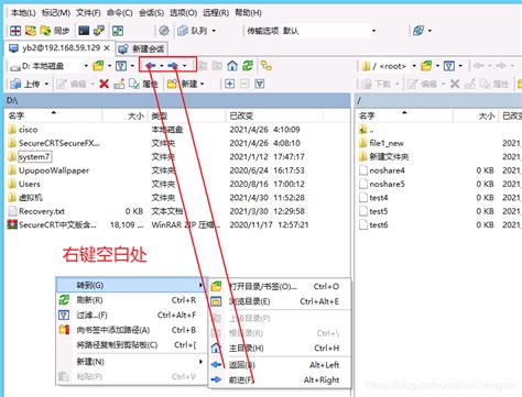 Ftp客户端使用详细说明【linux和windows】221 Goodbye Csdn博客 Ftp客户端使用详细说明【linux和windows】221 Goodbye Csdn博客