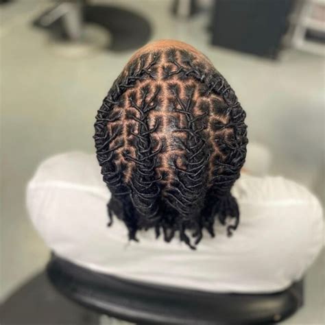 41 Handsome Barrel Roll Locs Men Hair Ideas