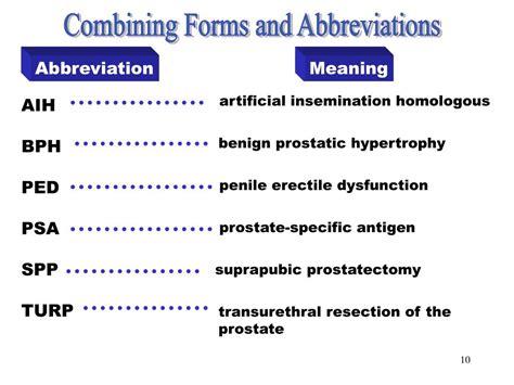 Ppt The Male Reproductive System Powerpoint Presentation Free