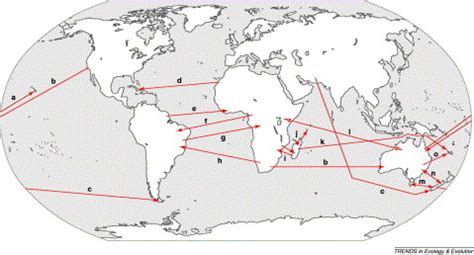 The Resurrection Of Oceanic Dispersal In Historical Biogeography