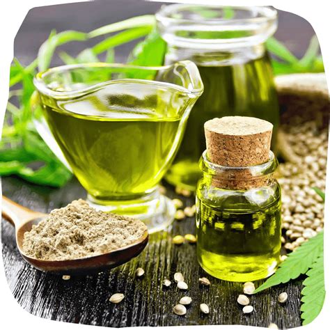 Thc Vs Cbd What Is The Difference Is It Legal In Thailand