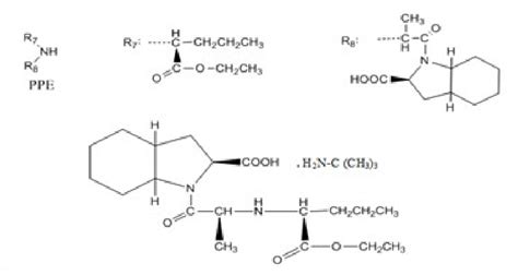 Structure Of Perindopril Erbumine Ppe Download Scientific Diagram