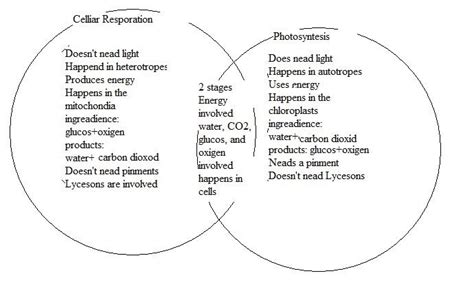 Venn Diagram Of Photosynthesis And Chemosynthesis