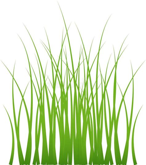 Grass Silhouette Seamless Pattern Green Grass Meadow Border Vector Pattern Stock Illustration