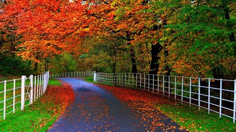Free Nature Wallpaper Hd 1080p Wallpaper