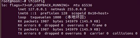 ubuntu上不了网ifconfig只有lo 看不到ip ens33 ubuntu 不显示ip CSDN博客