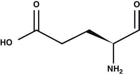Glutamate Neurotransmitter Structure