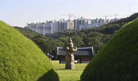 김포 장릉에서 보이는 아파트 단지