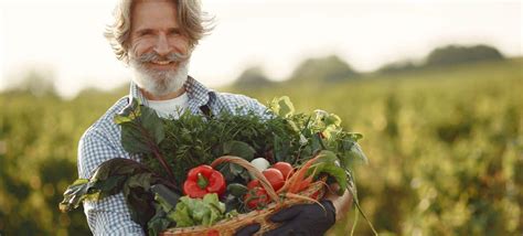 Wat Zijn De Beste Groenten Om In Een Moestuin Te Planten Populus