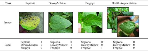 Coding Method For Health Samples In Health Augmentation Download Scientific Diagram