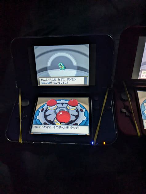 [4] Shiny Totodile With 2434 Srs I Really Wanted A Shiny Chikorita Should I Continue The Hunt