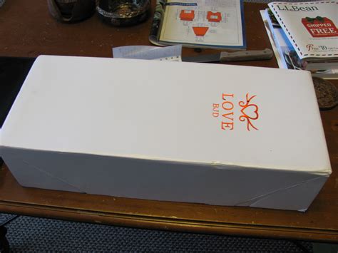 Doll Love Anona Box Opening My Very First Bjd Has Arrived
