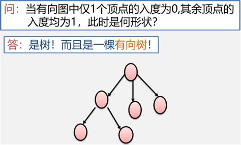 数据结构与算法基础 听课摘抄11 图 知乎
