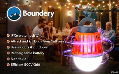 Bug Bulb Effective Boundary Bug Bulb Issuewire