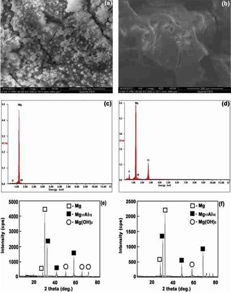 Sem Edax And Xrd Analysis Of Az31b Magnesium Alloy After Immersion In
