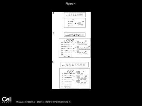 Volume 8 Issue 1 Pages July 2001 Ppt Download