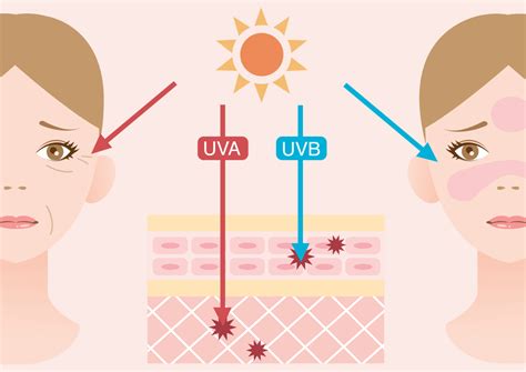 자외선 Uv 종류와 영향 선크림 Spfandpa의 의미 네이버 블로그