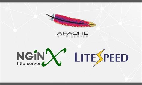Nginx Litespeed Apache