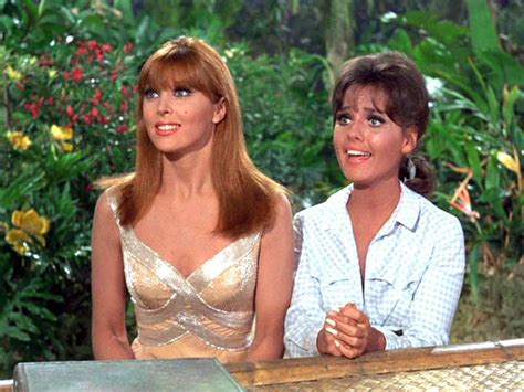 Bob Denver Zachary Mule