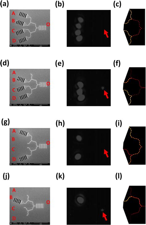 Logic Operation Of All Optical Logic Parity Checker A Sem Image Of