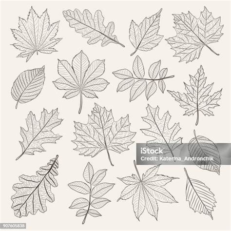 손으로 그린 나뭇잎 구성 가 배경입니다 벡터 일러스트입니다 10월에 대한 스톡 벡터 아트 및 기타 이미지 10월 가을 건강한 생활방식 Istock