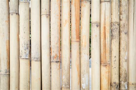 Virtical Line Stock Photos Free Royalty Free Stock Photos From