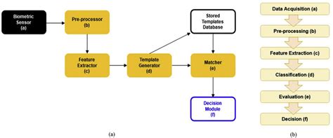 A Diagram Of The Biometric System Modules B Classification Steps