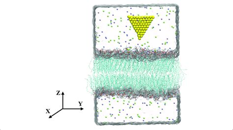 Initial Configuration Of The Simulation System Molybdenum And Sulfur