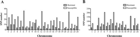 Snps Location In C Idella Genome 24 C Idella Chromosomes Are Marked Download Scientific