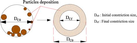 Schematic Draw Of Constriction Diameter Size Reduction Download