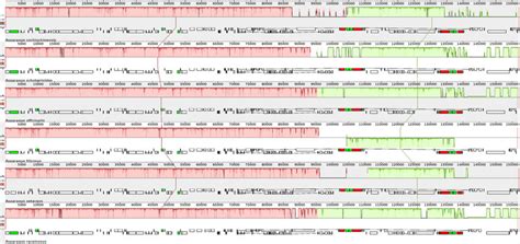 Collinearity Analysis Of Cp Genomes Among Six Asparagus Species Using