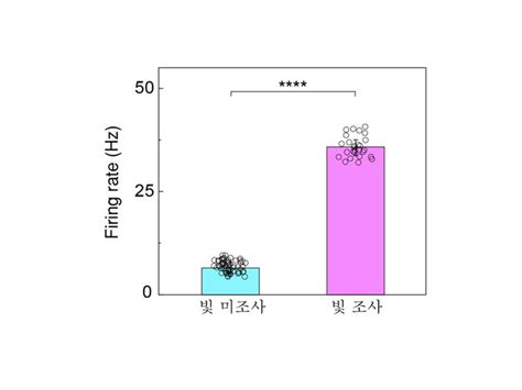 실명 환자 시력 회복 돕는 소프트 인공망막 개발 엠디포스트