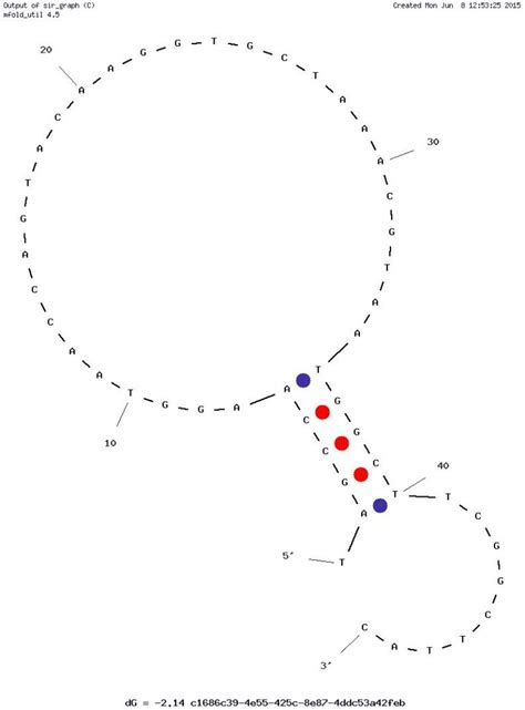 L Selectin Multivalent Aptamer