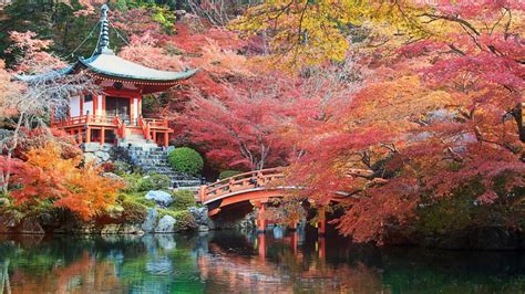 10 Must See Fall Foliage Spots In Japan