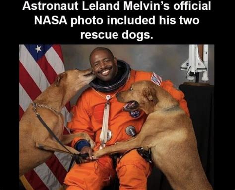 Hireaveteran Dave Mcaleer M A