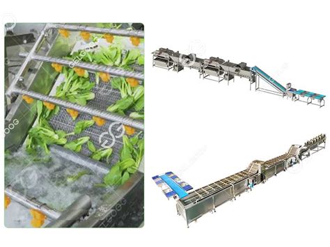 What Technology Is The Importance Of Vegetable Processing
