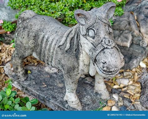 Asian Decorative Figurine Hotai Amulet Brings Happiness Isolated On