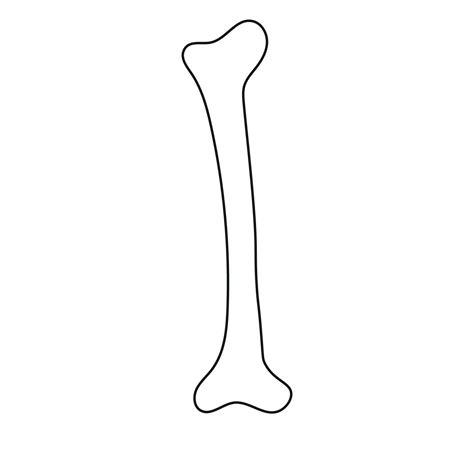 Halloween Scary Bones Skeleton 12285687 Vector Art At Vecteezy